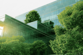 Top Recycling Company in Dubai, UAE | Recycle Right